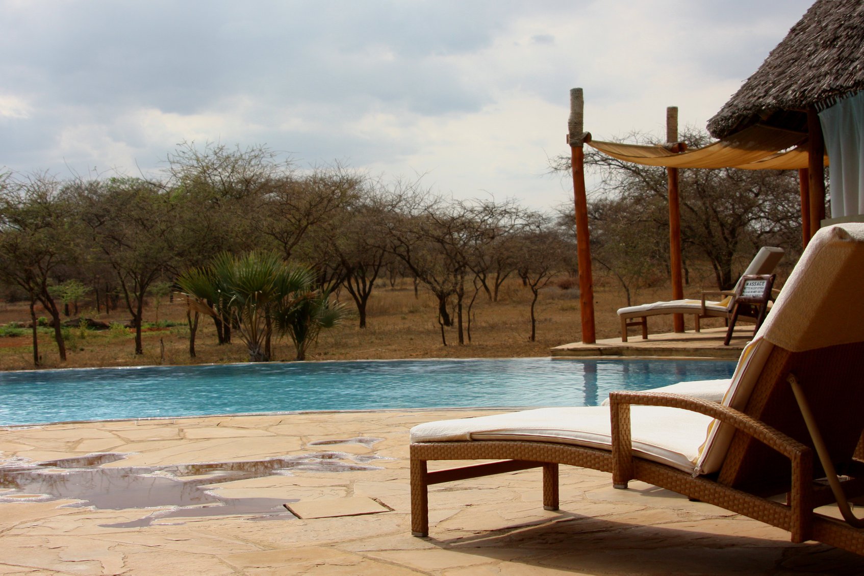 1-Day Mkomazi National Park Day Tour from Moshi - Tanzania … Itinerary ...